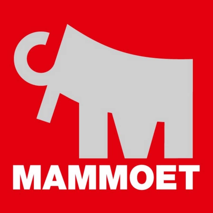 INGERIS Consulting participe au RGV au côté de MAMMOET - INGERIS CONSULTING
